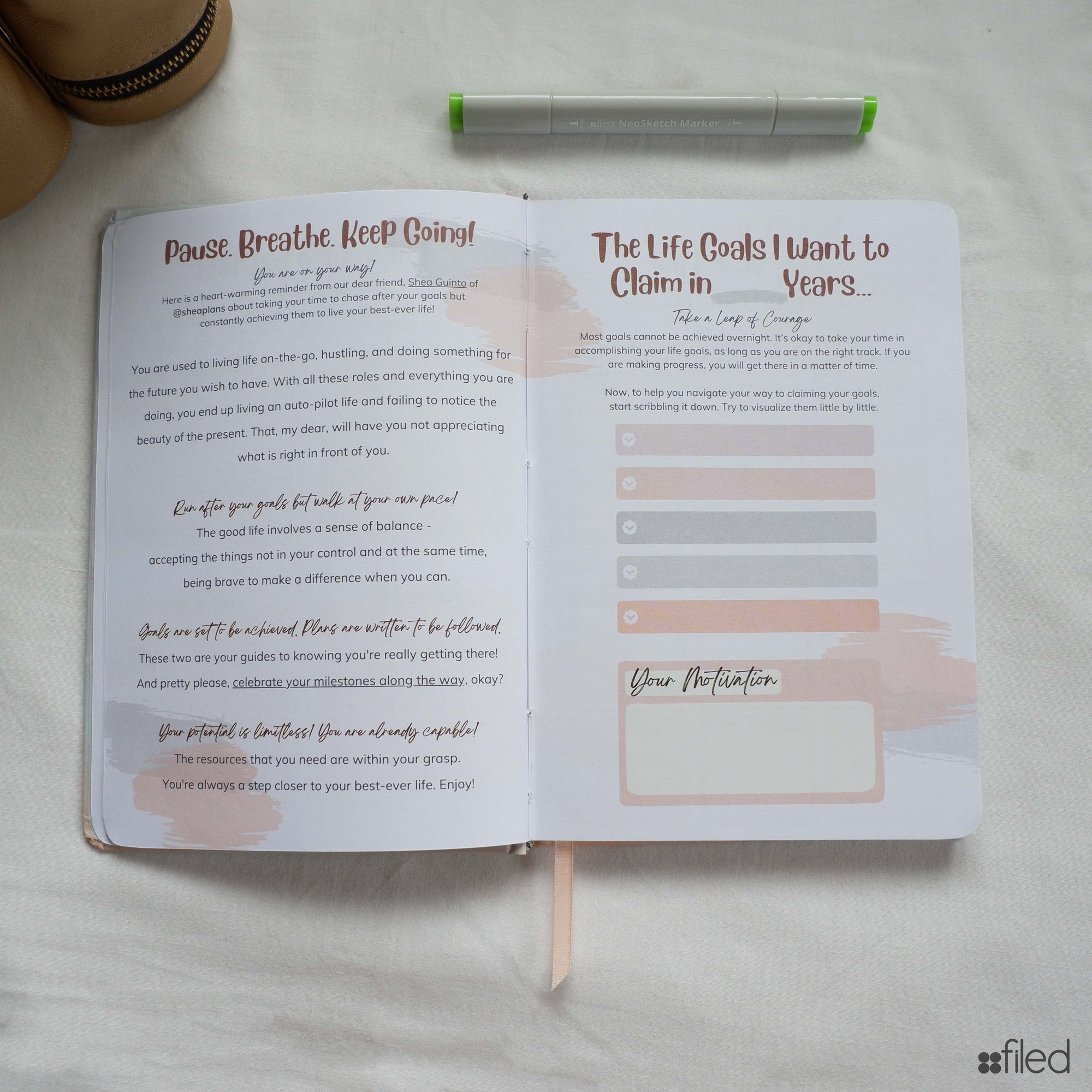 Go Get Goal Planner – filed
